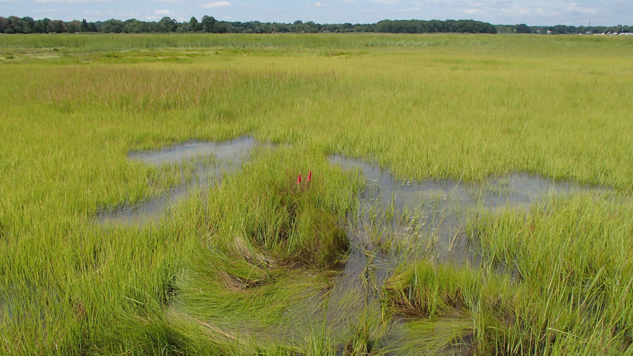 Sea Level Affecting Marshes Modeling - Long Island Sound Partnership