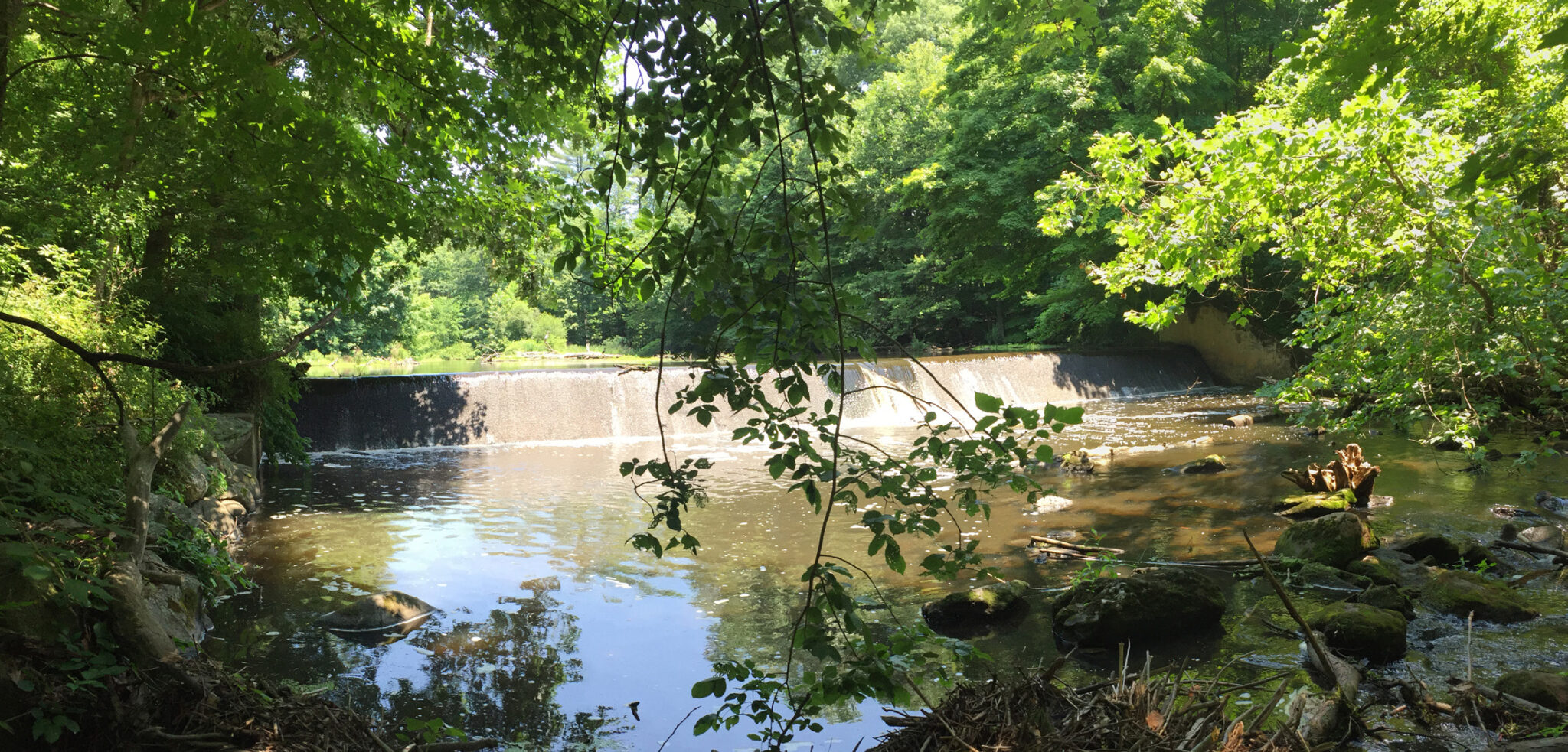 Thriving Habitats and Abundant Wildlife - Long Island Sound Partnership