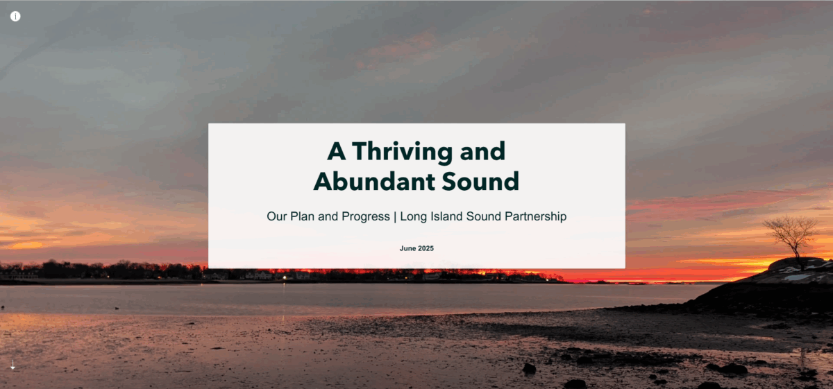 A Thriving and Abundant Sound - Long Island Sound Study